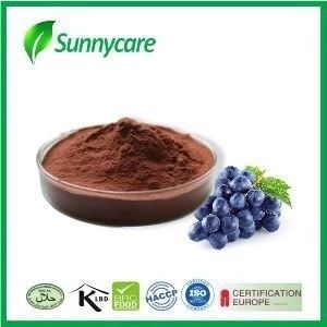 50% 70% Polyphenols Nutrition Supplement Powder Grape Seed Extract