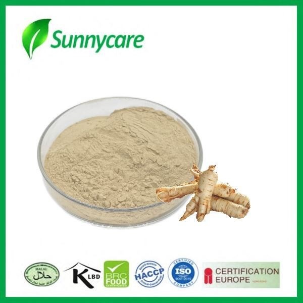 Ginseng Root Extract Powder 5% 20% 80% Ginsenosides Ginseng P. E For ...