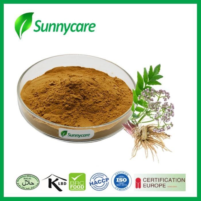Food Grade Valeriana Officinalis Extract Valerianic Acid 0.3% 0.8% ...